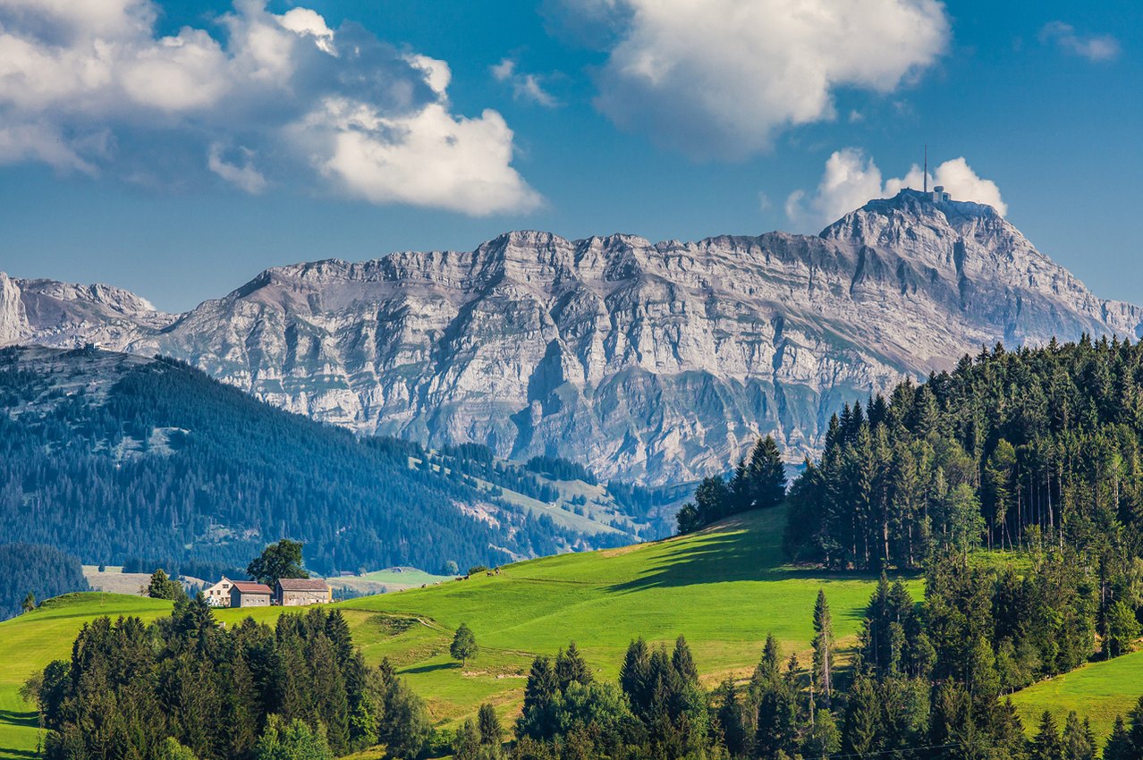 Images Appenzeller Siedwurst IGP – Association suisse des AOP-IGP